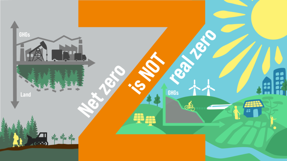 Net Zero Targets: The Reality - Newsletter - Fridays For Future